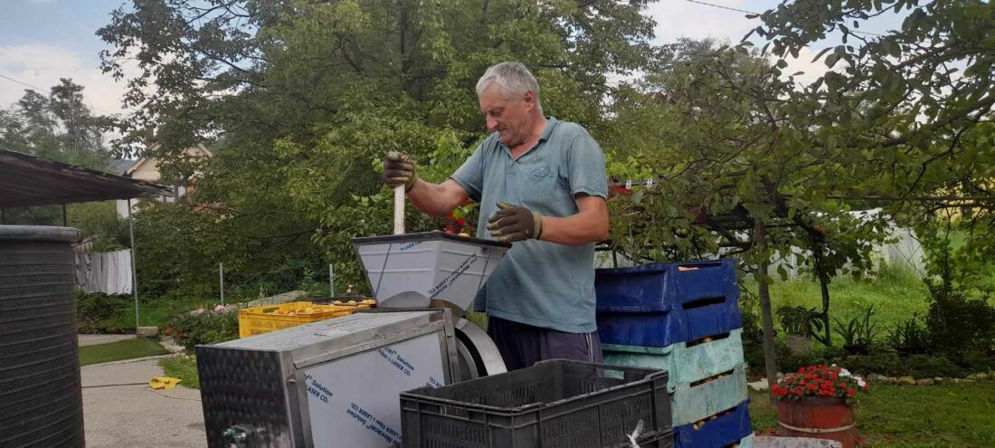 Rakija od džanarike – Topličke Vesti